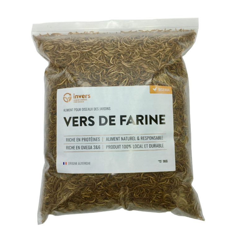 Vers de farine déshydratés - INVERS