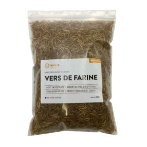 Vers de farine déshydratés - INVERS