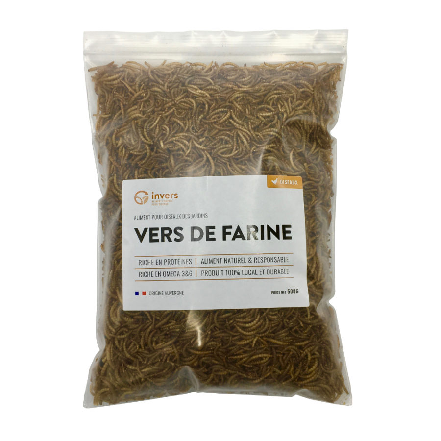 Vers de farine déshydratés - INVERS